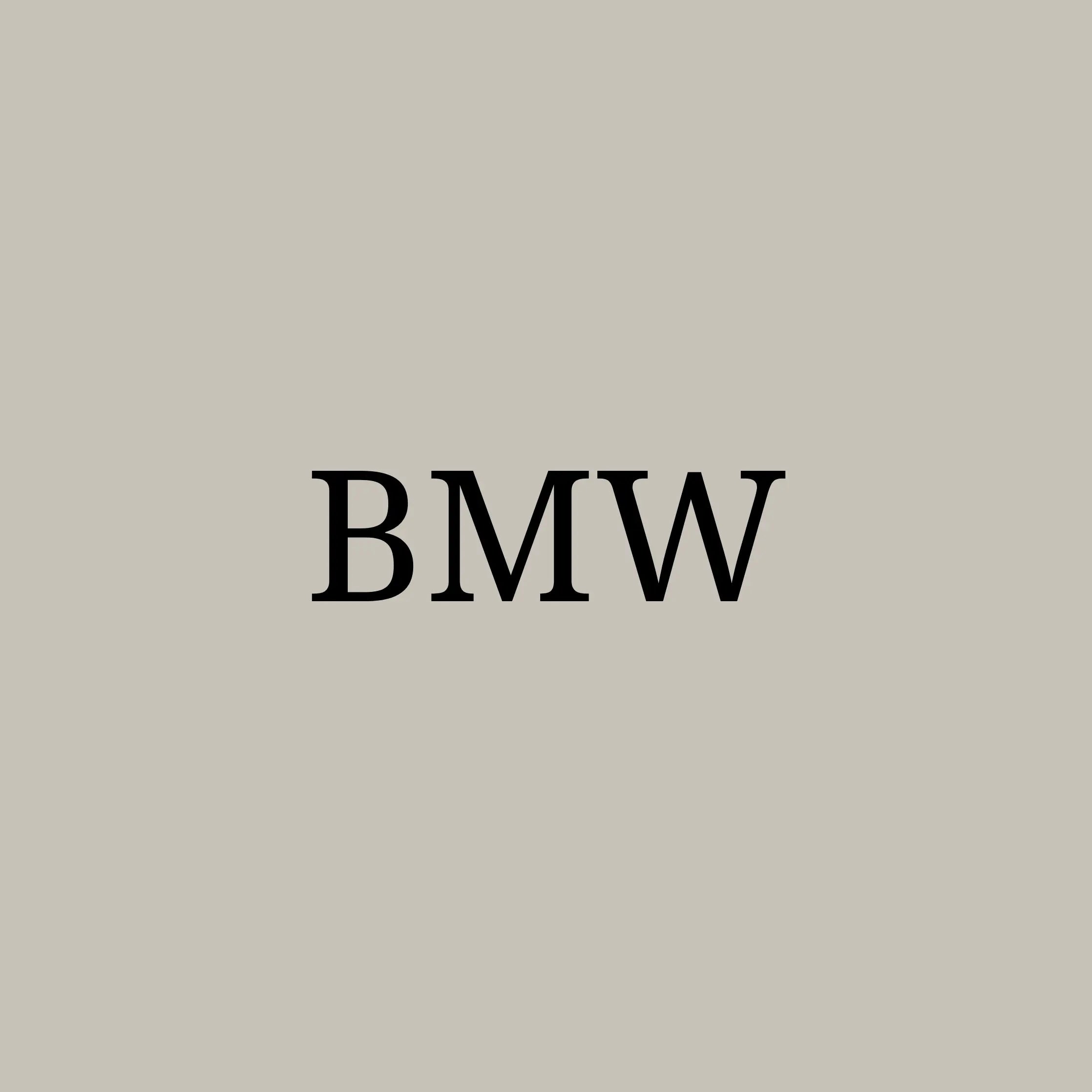 BMW Front & Rear Adaptors – The Plate Bracket Co.